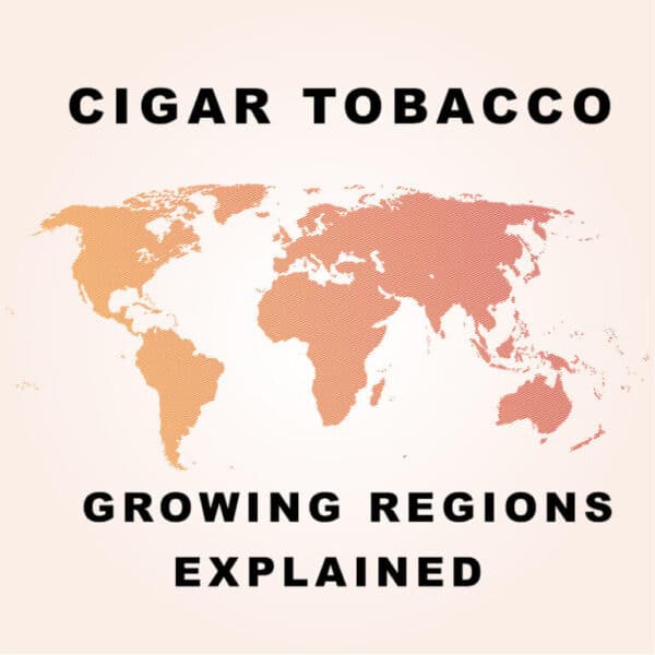 Tobacco Growing Regions Explained | Stogies World Class Cigars