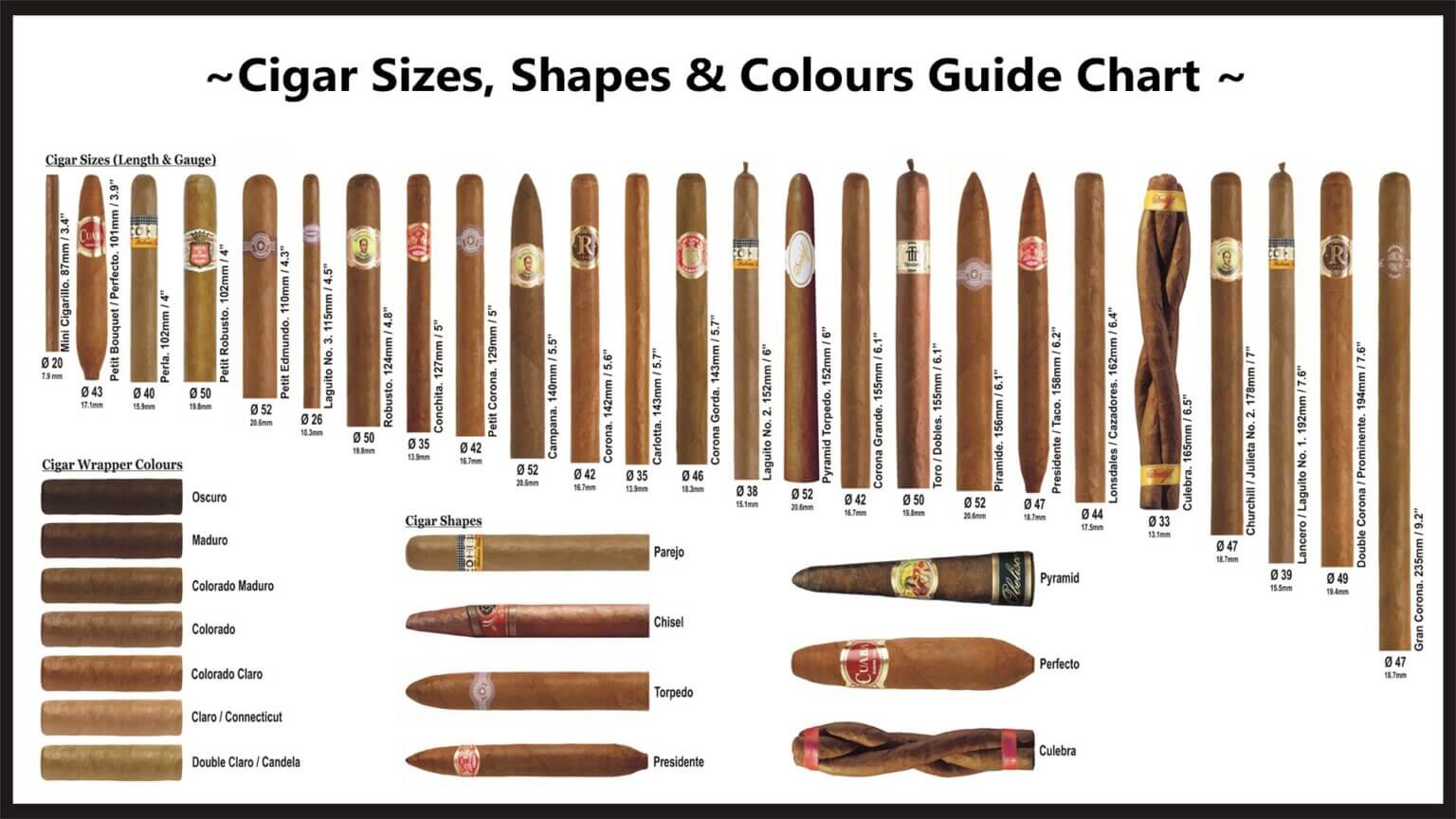 Cigars For Beginners: A Guide | Stogies World Class Cigars