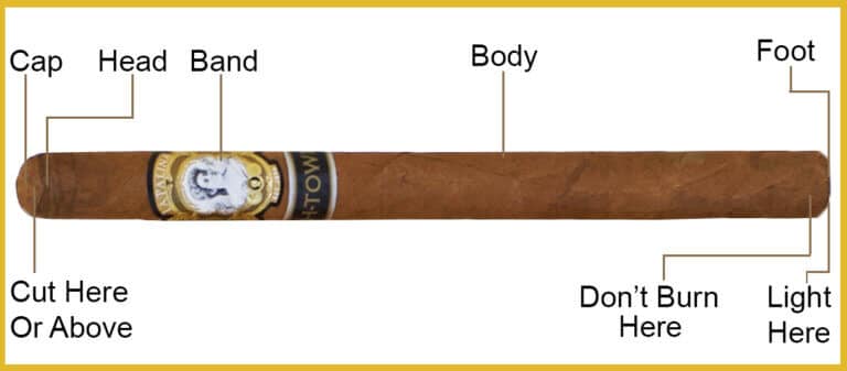 Cigars For Beginners: A Guide | Stogies World Class Cigars